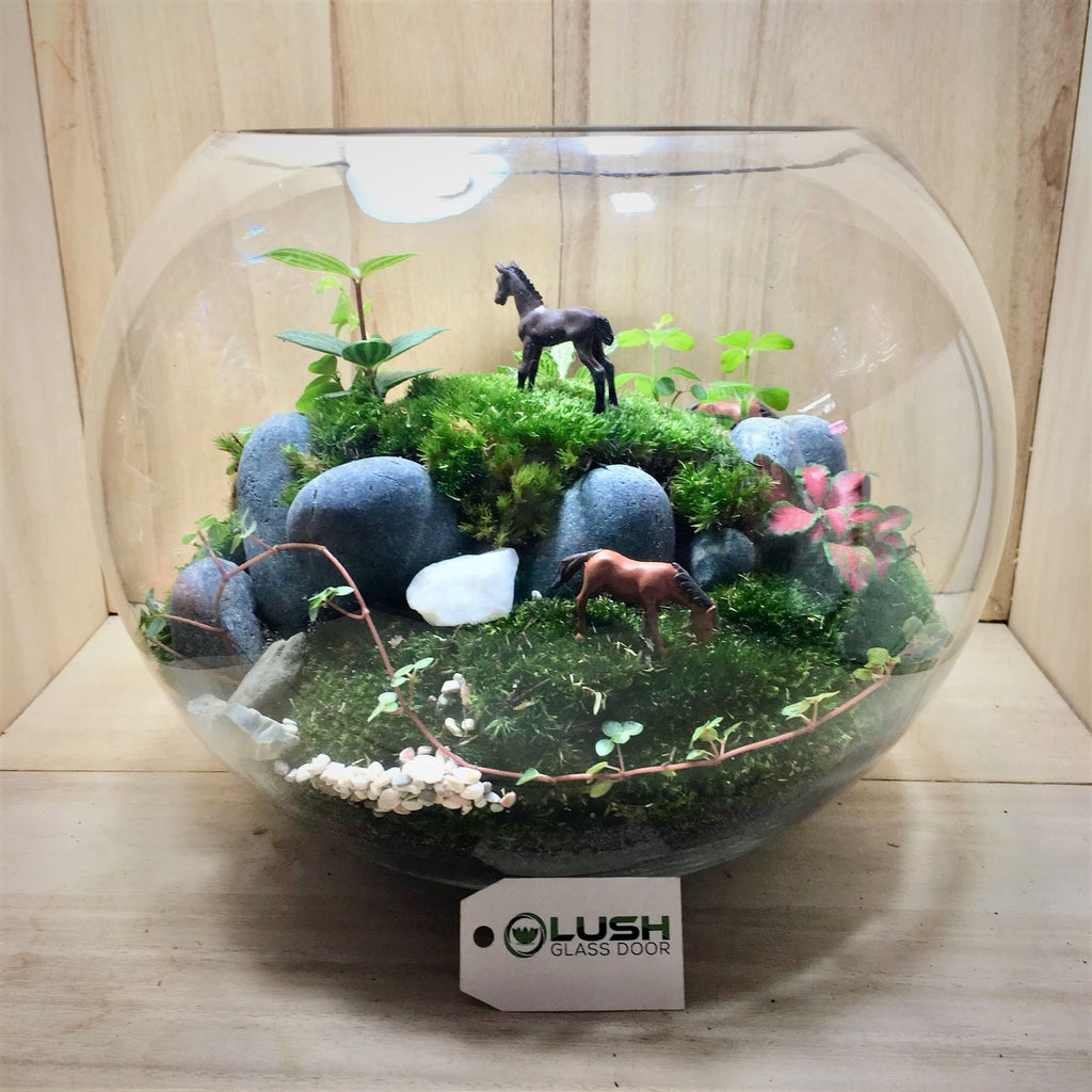 Top of The World Themed 360 Degree View Moss Terrarium Centerpiece ...